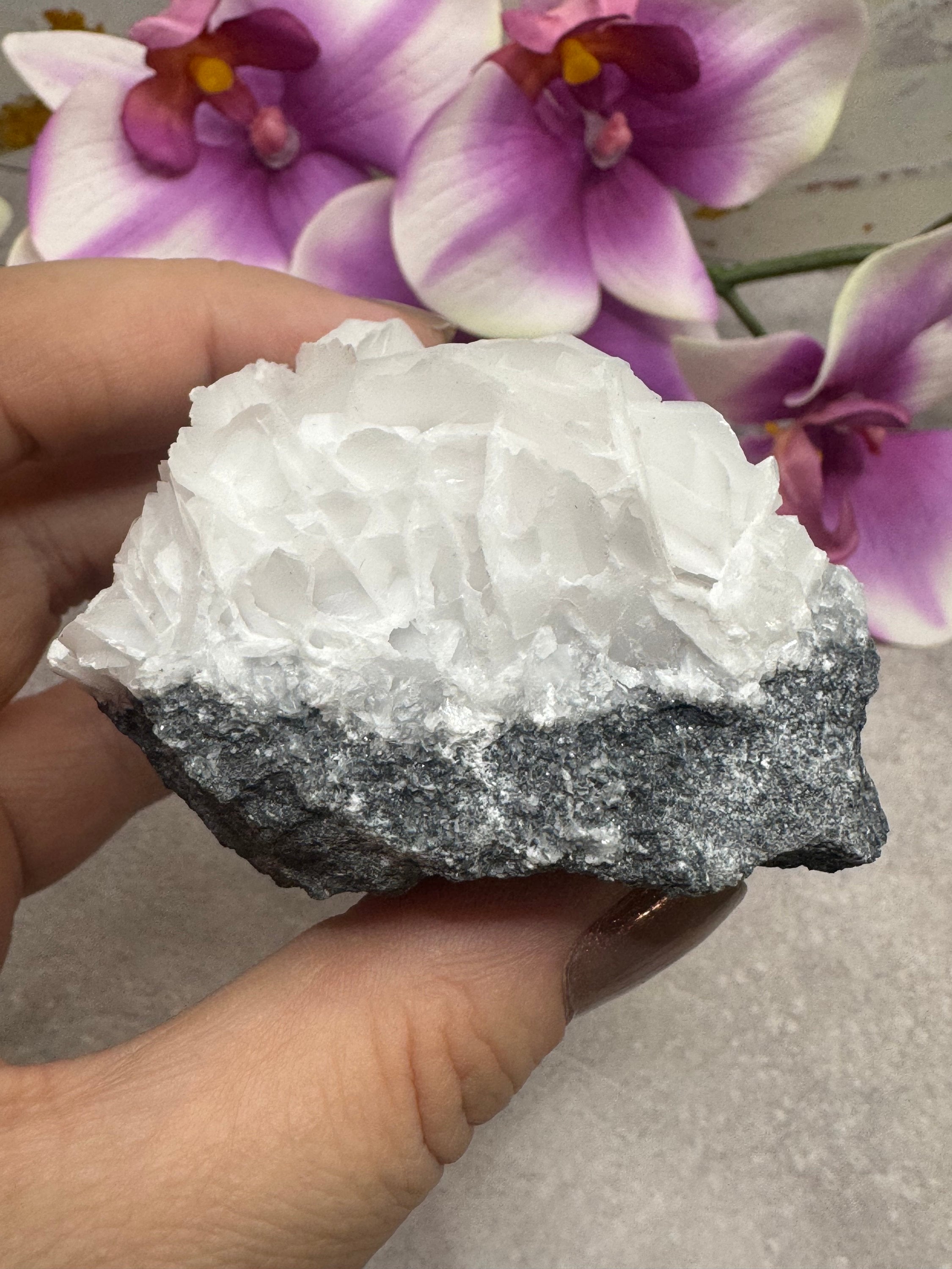 UV Reactive Rose Calcite Crystal Specimen: Angel Wing Calcite on Matrix ...