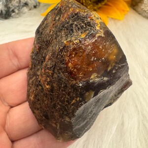 Raw Blue Amber Specimen: Indonesian UV Reactive Organic Amber - Etsy