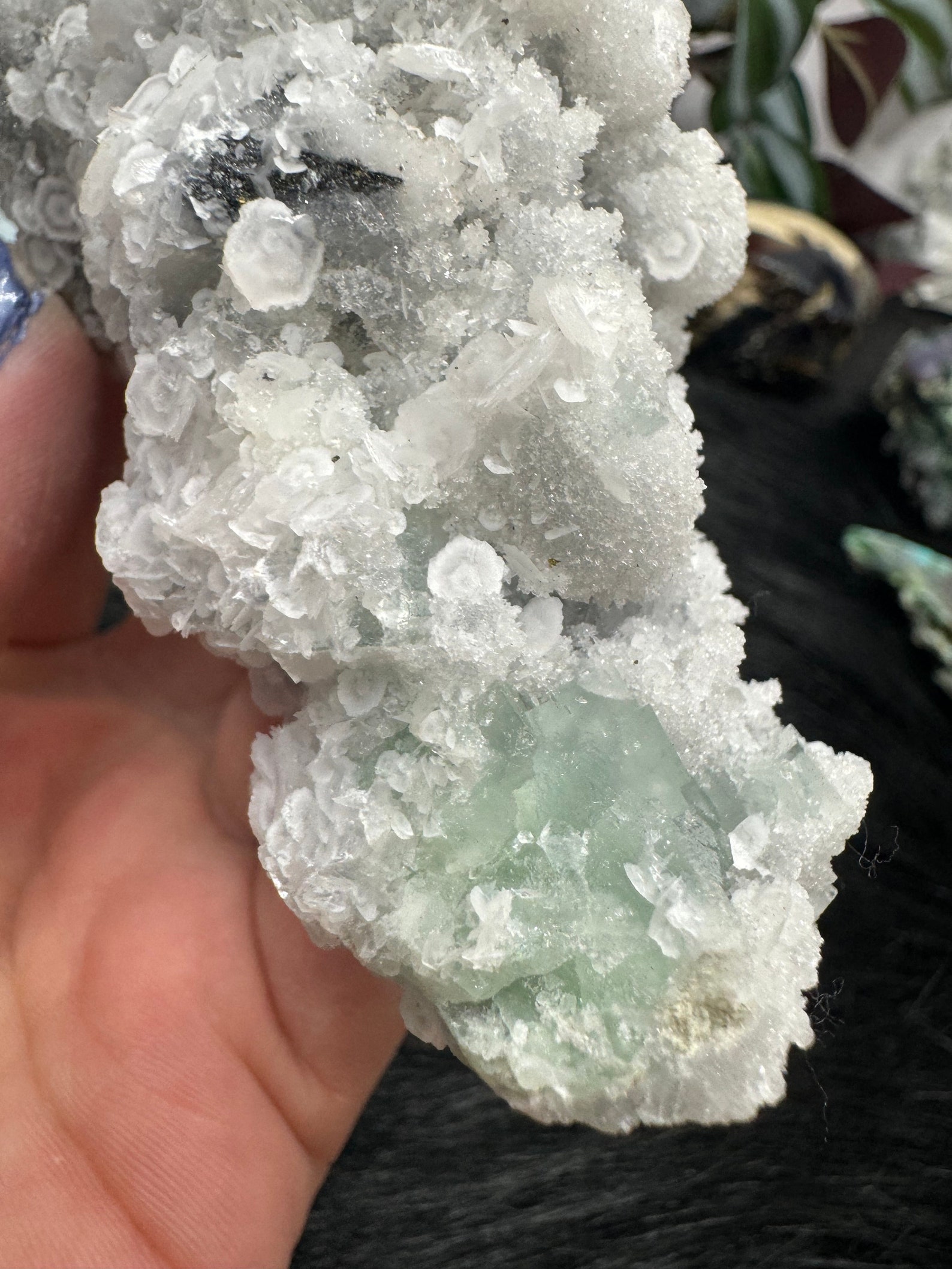 UV Reactive Coin Calcite Specimen: Fluorite and Quartz Crystal - Etsy