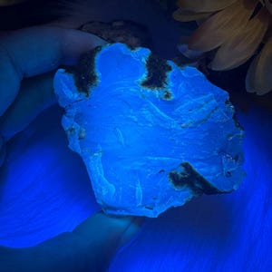 Raw Blue Amber Specimen: Indonesian UV Reactive Organic Amber - Etsy