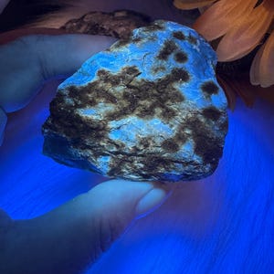Raw Blue Amber Specimen: Indonesian UV Reactive Organic Amber - Etsy