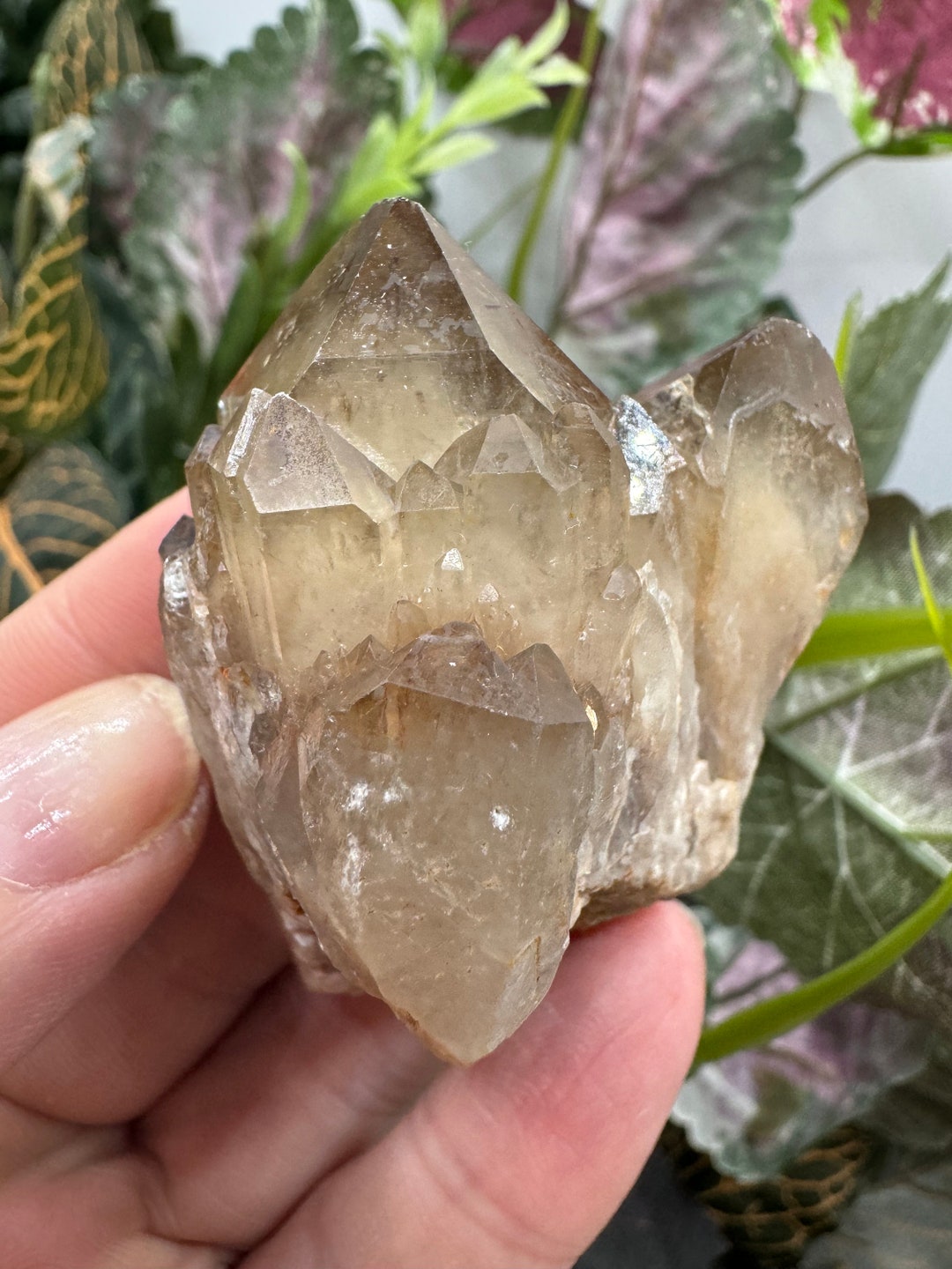 Kundalini Congo Citrine Cluster Specimen, Smoky Kundalini Citrine ...