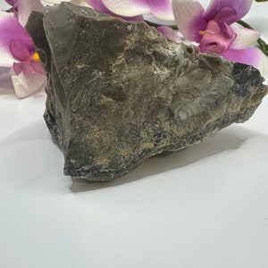 Volcano Agate UV Reactive Crystal Specimen, Rough Volcano Agate Crystal ...