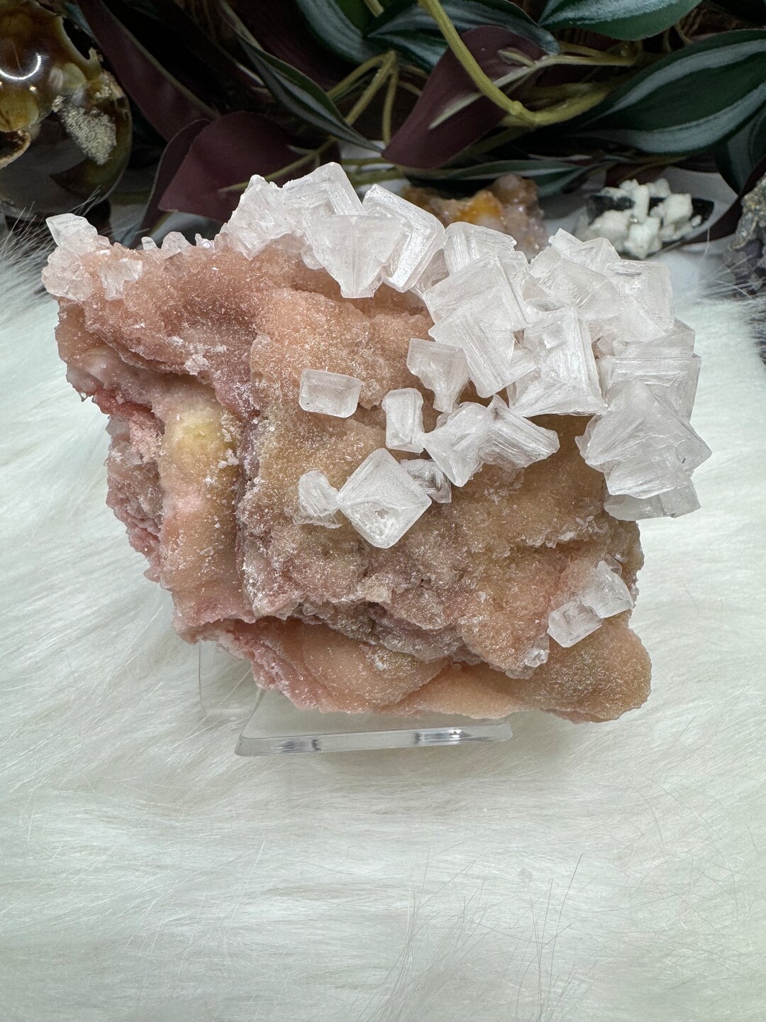 Pink Halite Crystal Specimen , Pink Halite Cluster, Cubic Halite, Gifts ...