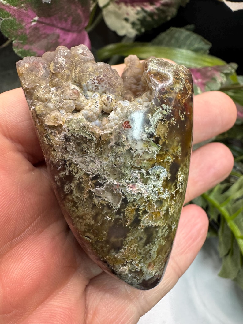 Botryoidal Plume Moss Agate Specimen, Scenic Moss Agate Crystal, Grape ...