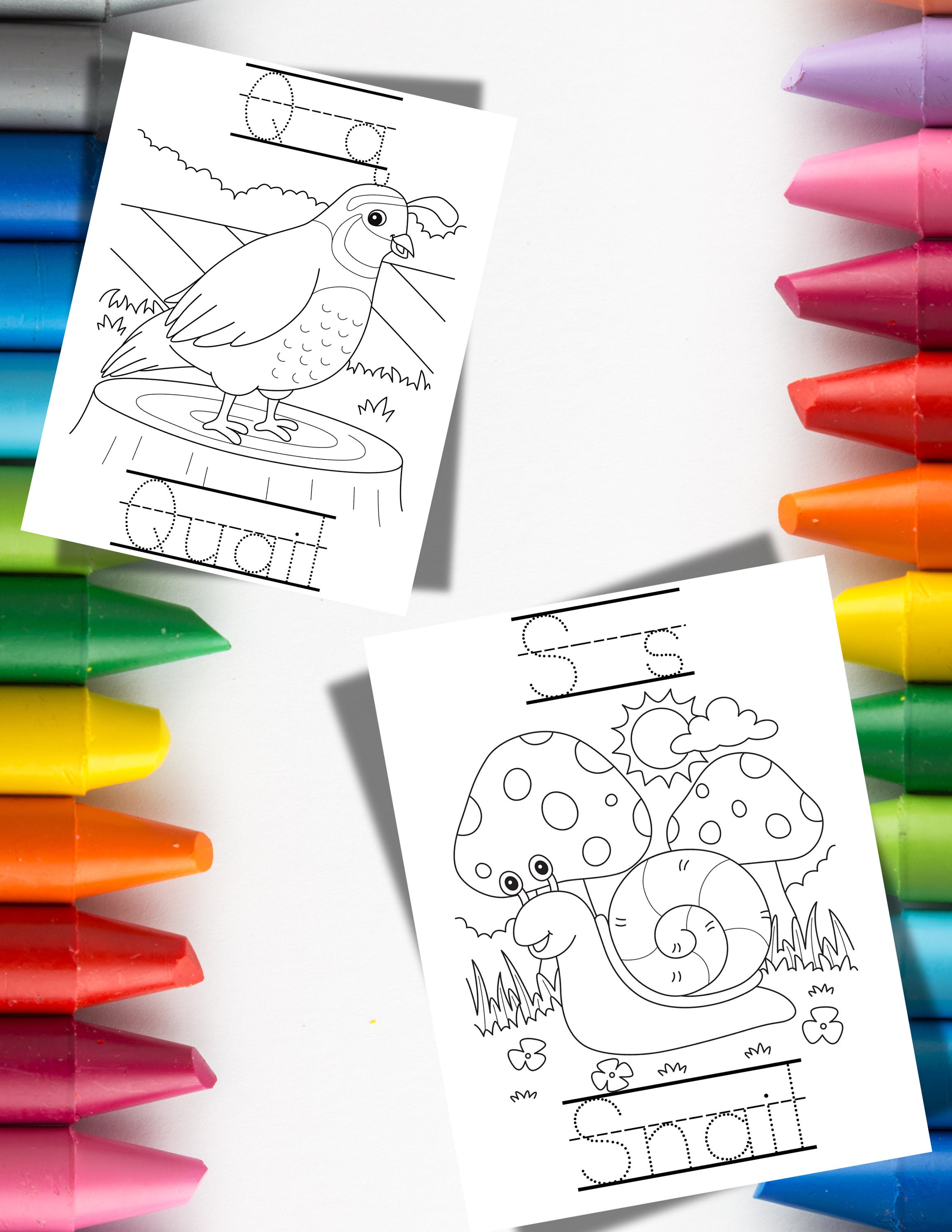Animal ABC Printable Coloring Pages - Etsy