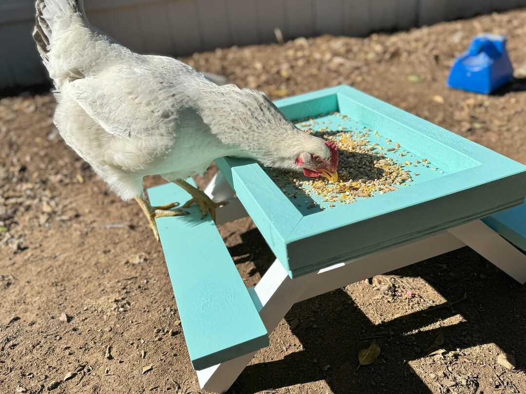 Chicknic Table - Etsy