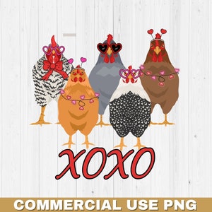 Chicken Lovers Valentines Day Png, Farm Life Sublimation File, Cute ...