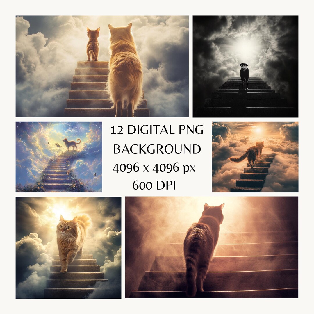 Pet Memorial Digital Background, Dog and Cat Rainbow Bridge Wallpaper ...