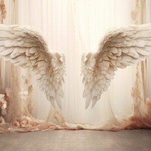 Angel Wings Maternity Digital Backdrop Overlays, Wings Digital Backgrounds for Photoshop ...