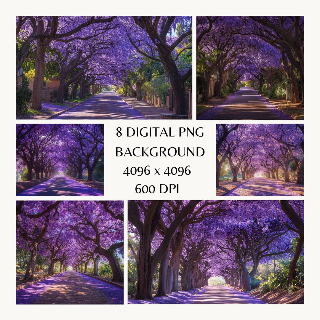Jacaranda Tree Tunnel Backdrop, Enchanted Purple Floral Path, Nature ...