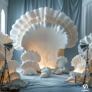 Giant Sea Shell Backdrop for Photography - Underwater Theme Studio ...