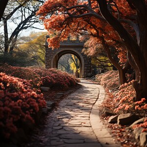 Golden Autumn Walkway Backgrounds for Photoshop - Immerse Your Photos ...