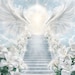 Heavenly Light Digital Backdrops, Ethereal Cloudscape, Divine ...