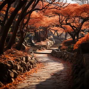 Golden Autumn Walkway Backgrounds for Photoshop - Immerse Your Photos ...