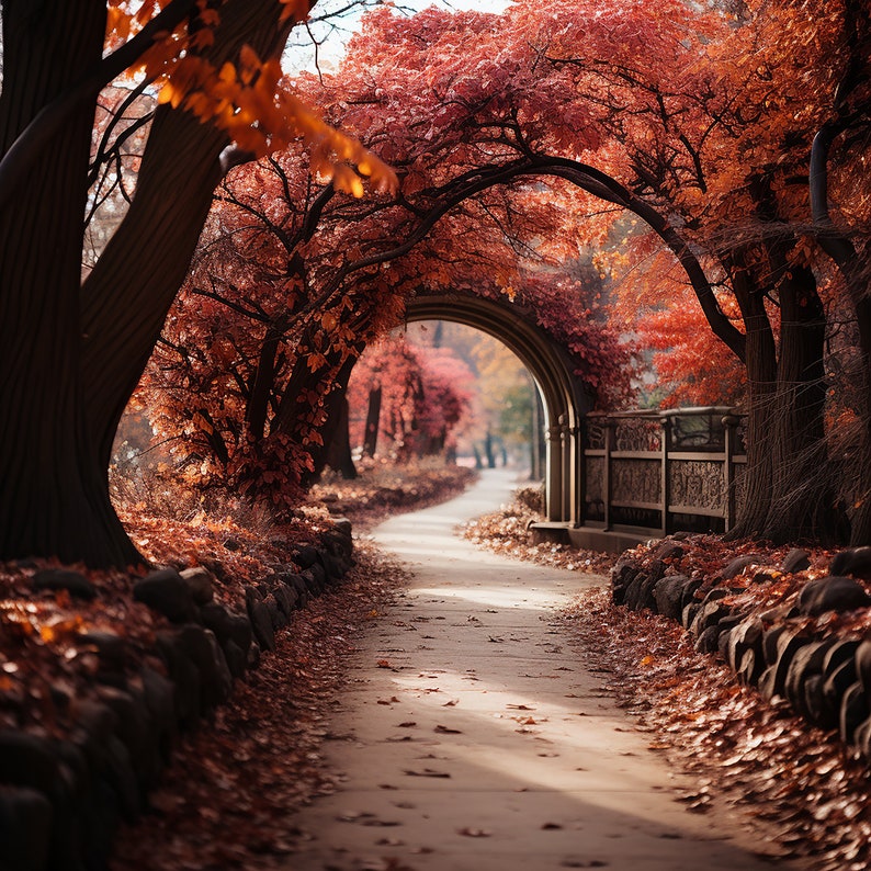 Golden Autumn Walkway Backgrounds for Photoshop Immerse Your - Etsy