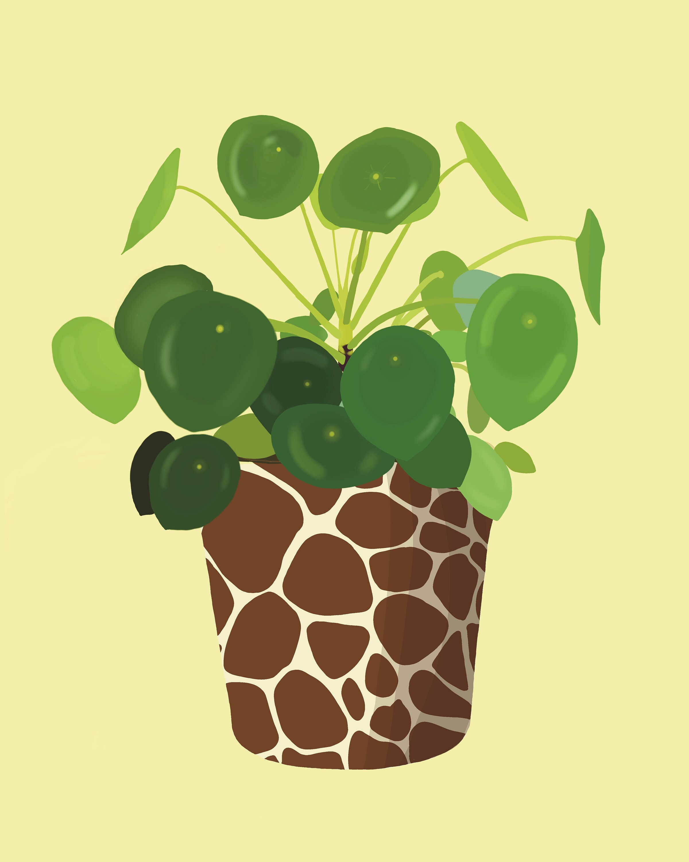 Pilea in Animal Print Pot, Minimalistic Plant Art, Printable Wall Art ...