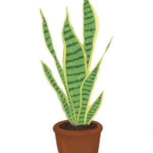 Snake Plant, Minimalistic Plant Art, Printable Wall Art, Digital ...