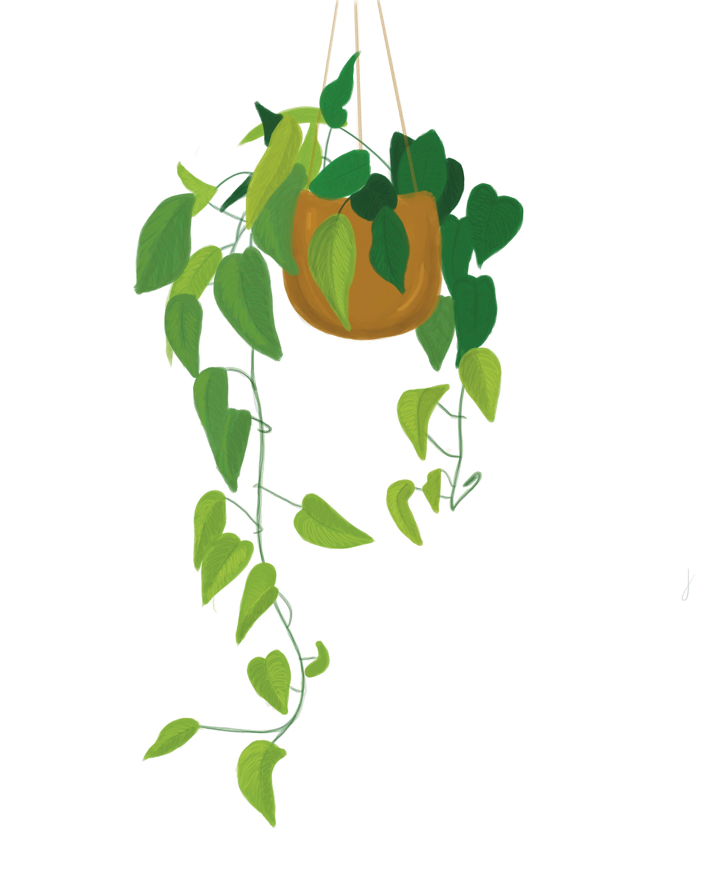 Pothos Plant, Minimalistic Plant Art, Printable Wall Art, Digital ...