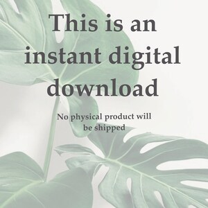 Fiddle Leaf Fig Plant in Animal Print Pot, Minimalistic Plant Art ...