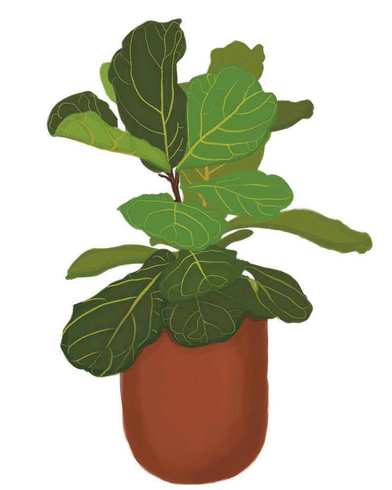 Fiddle Leaf Fig Plant, Minimalistic Plant Art, Printable Wall Art ...