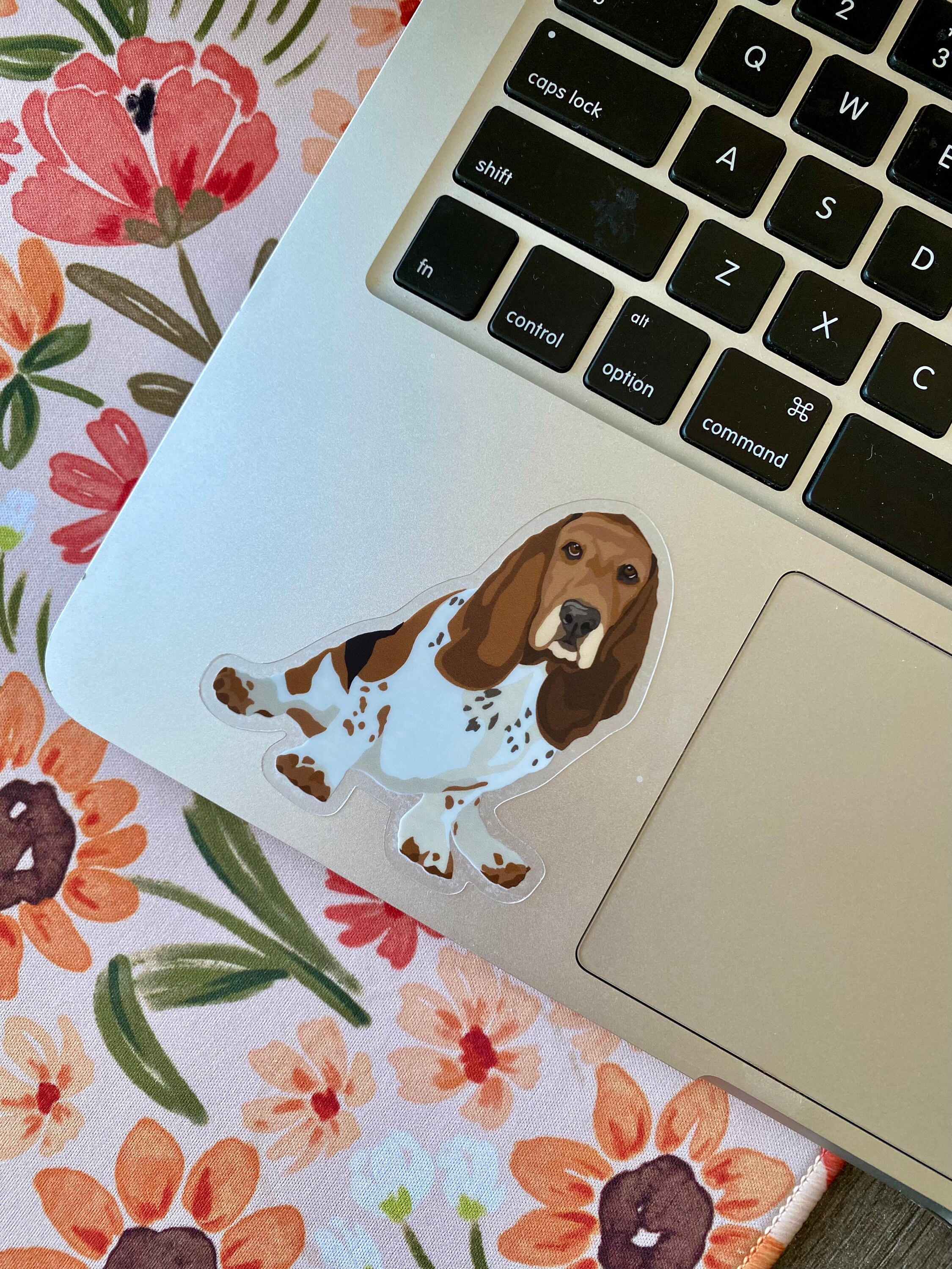 Basset Hound Sticker Decal for Waterbottle Phone and Laptop Removable ...