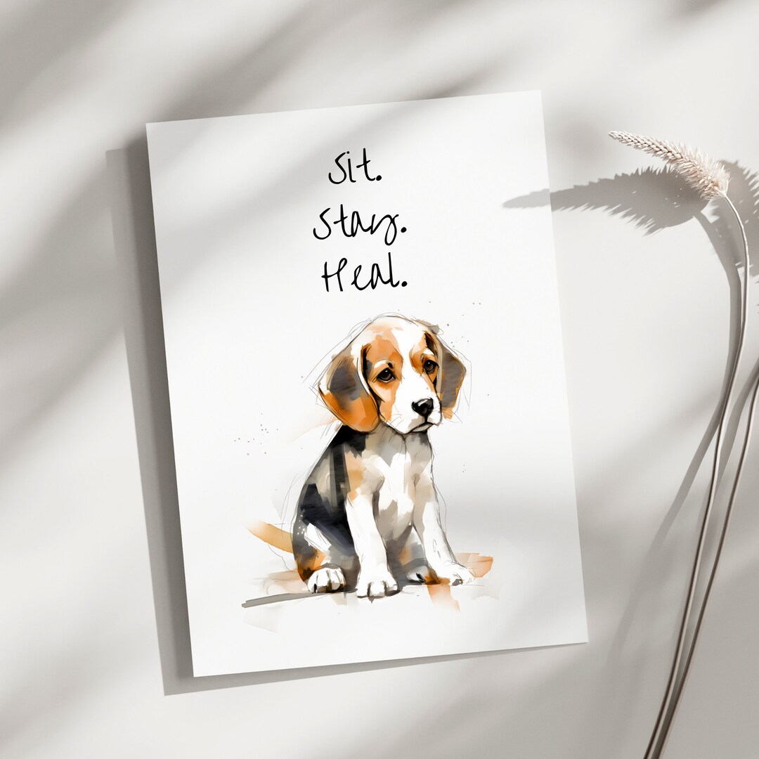 Funny Get Well Soon Card, Funny Dog Get Well Card, Cute Dog Get Well ...