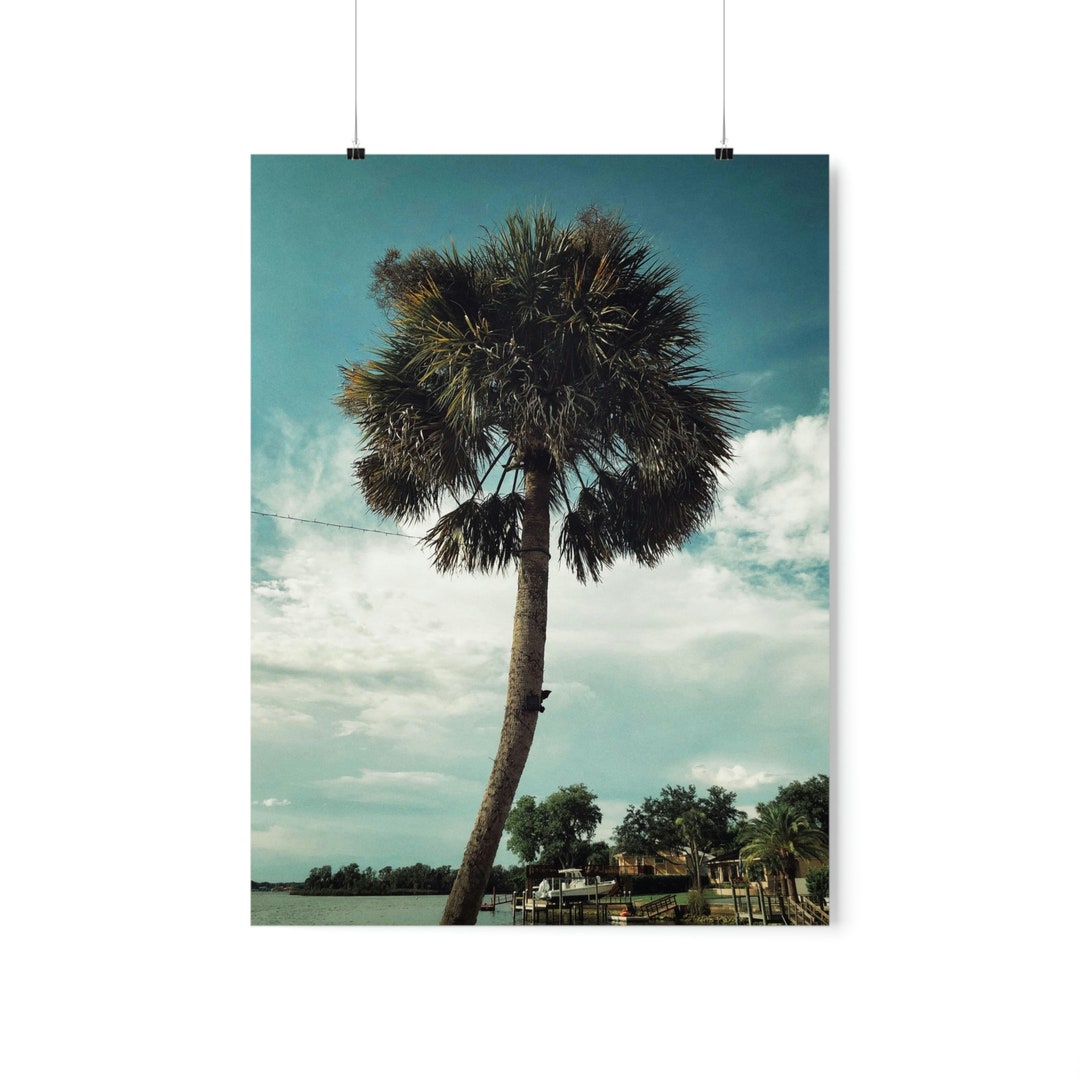 Tree Matte Poster - Etsy