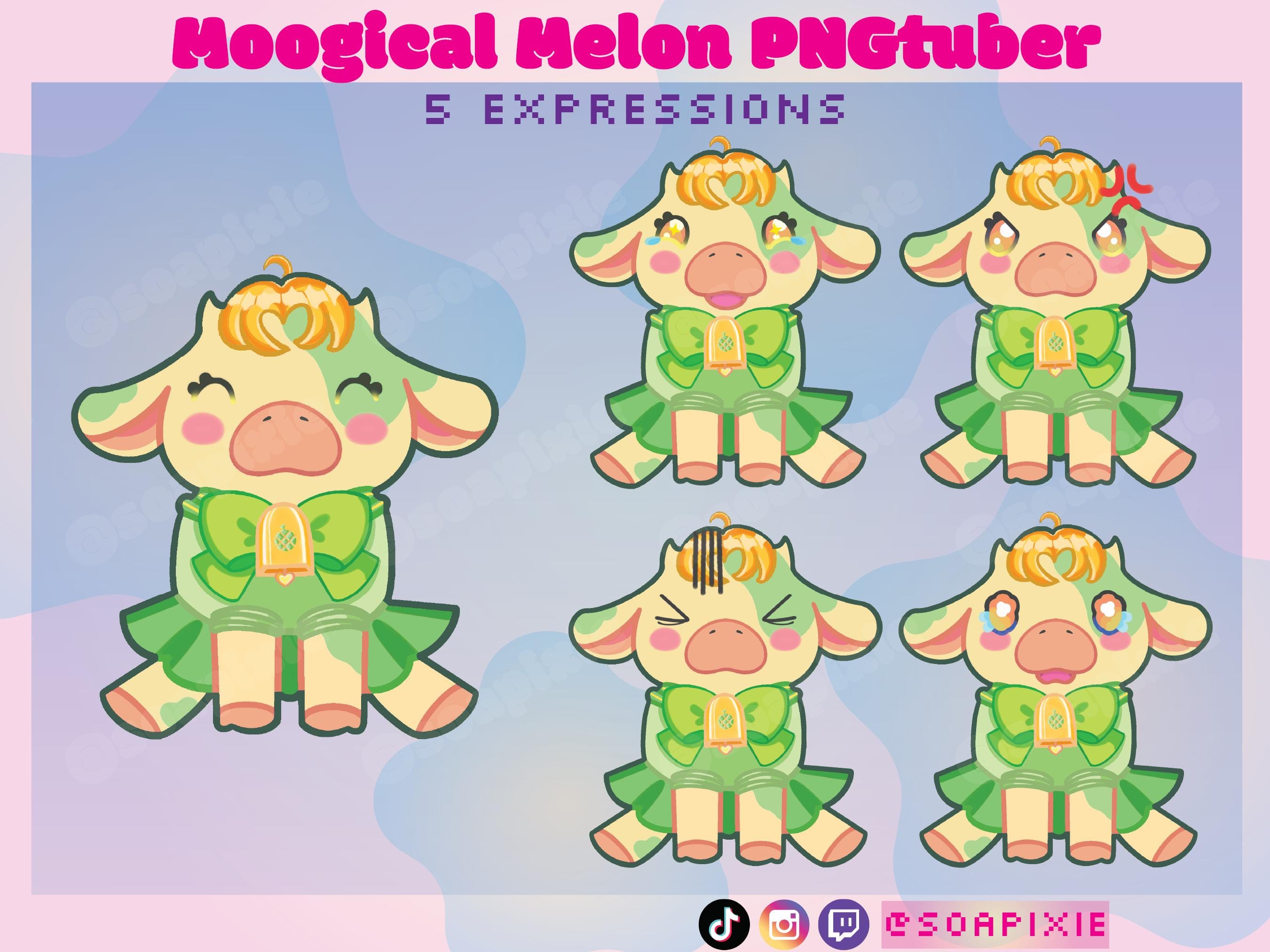 Moogical Melon Pngtuber | Twitch/discord/youtube Streamer Kawaii Asset ...