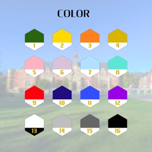 Personalized Graduation Stole 2024 Graduation Sash, Yellow and Black or ...