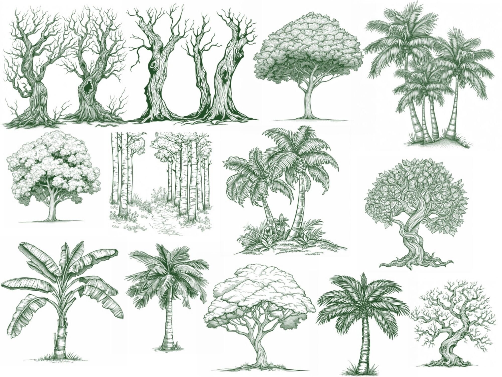 Procreate 100 Tree Line Art Landscape Scenery Stamp Bundle Pack Brushes ...