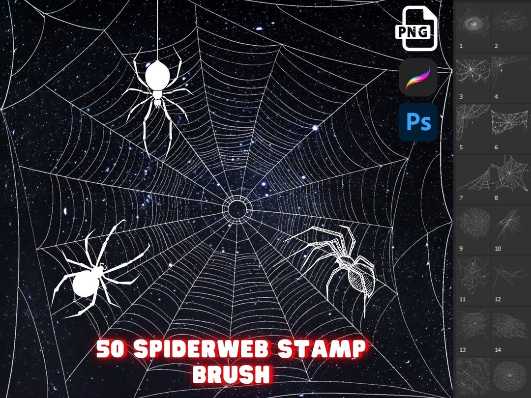 Procreate & Photoshop PNG Spiderweb Line Art Stamp Brush Pack Spooky ...