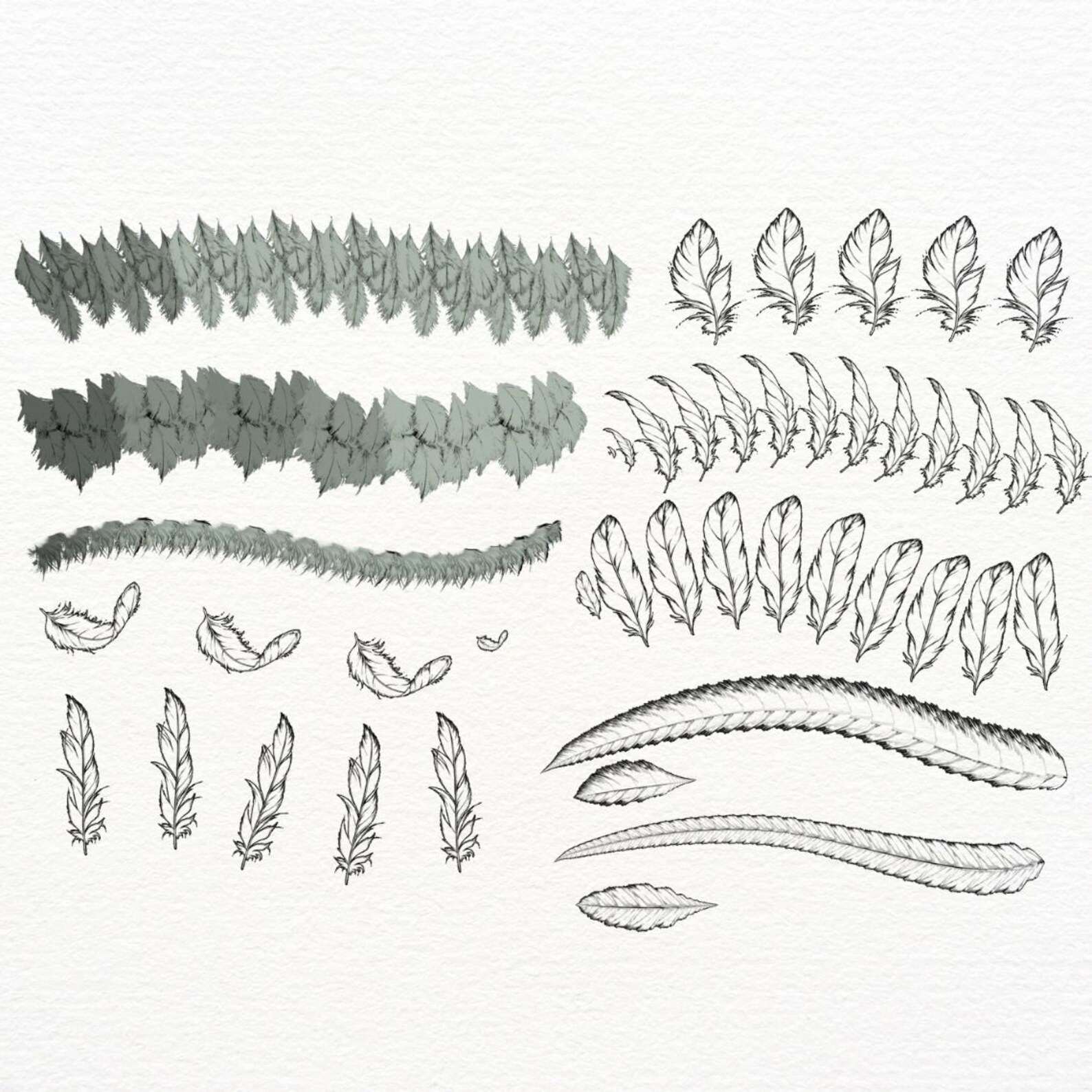 Procreate Dynamic Wings Brush Kit Set Angel, Feather , Insect Wing Line ...