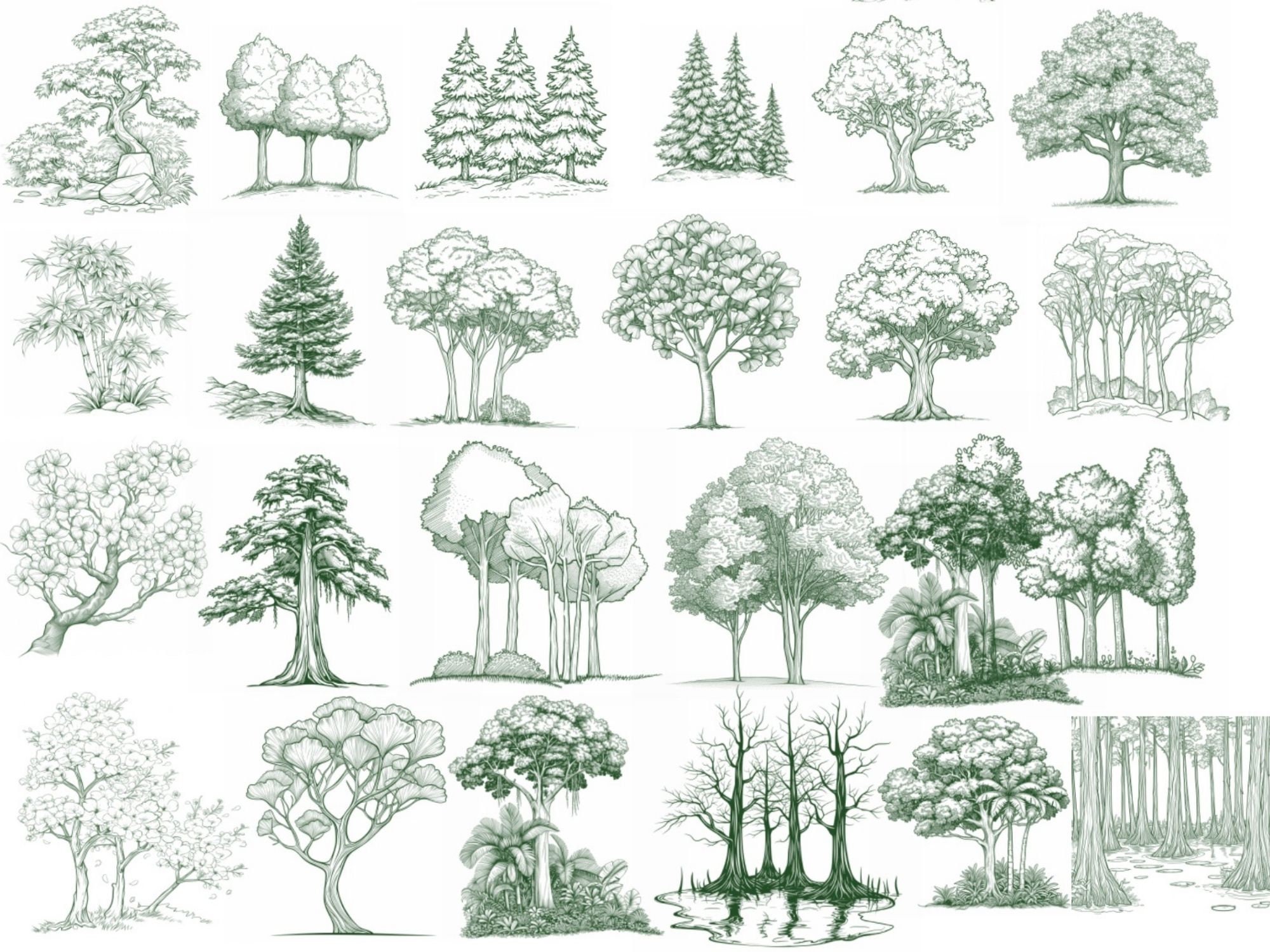 Procreate 100 Tree Line Art Landscape Scenery Stamp Bundle Pack Brushes ...