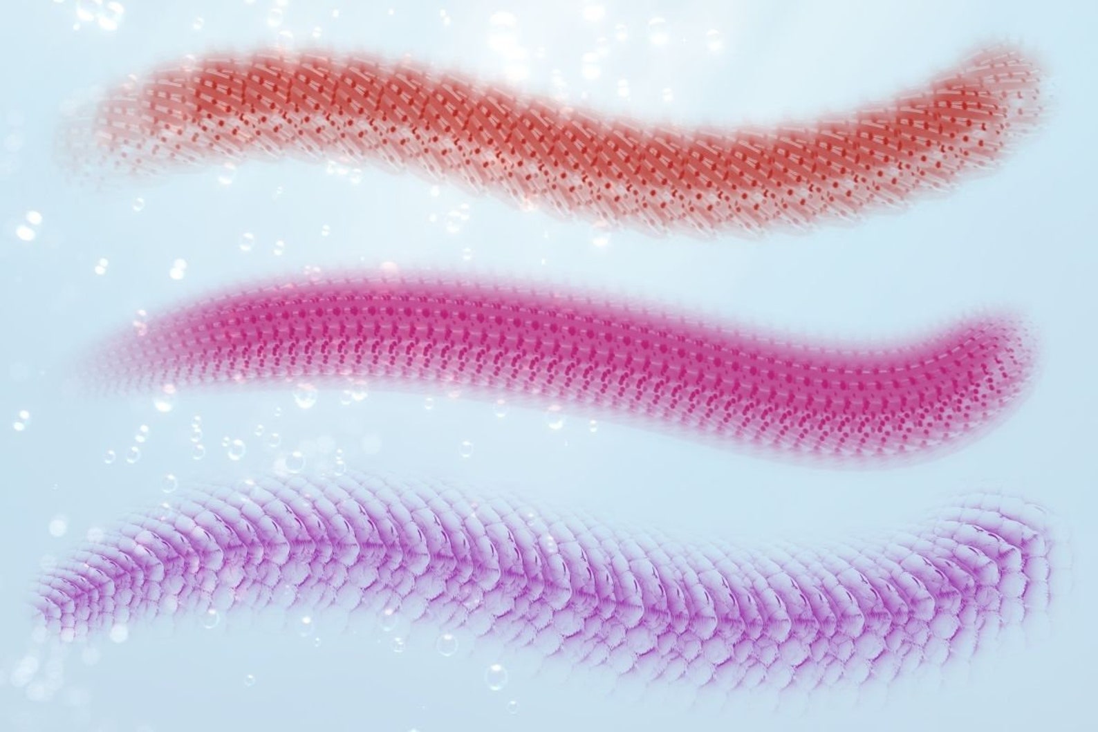 Procreate Photoshop Dynamic Fish Scale Brush Stamp Bundle Pack ...