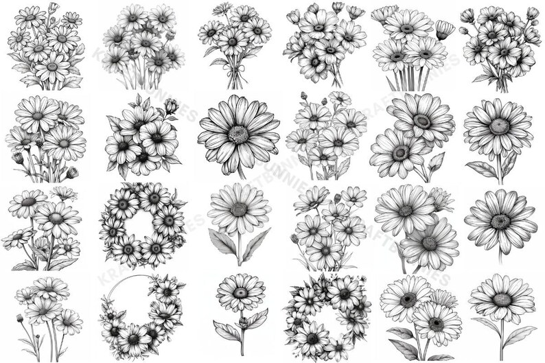 Procreate Photoshop Daisy Flower Stamp Brush Bundle Botanical Floral ...