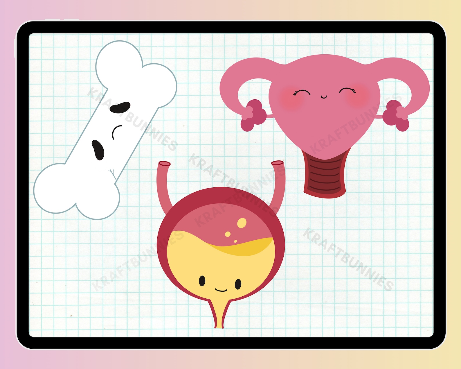 Cute Kawaii Body Organs Anatomy Education Brain Heart Lungs Vector ...