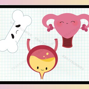 Cute Kawaii Body Organs Anatomy Education Brain Heart Lungs Vector ...