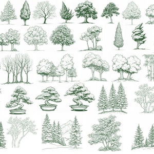Procreate 100 Tree Line Art Landscape Scenery Stamp Bundle Pack Brushes ...
