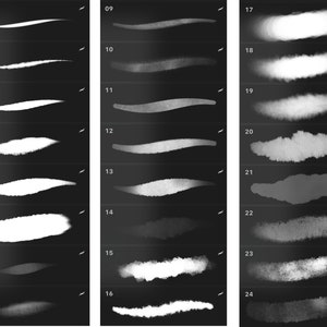 Procreate Realistic Traditional Chinese Ink Paintbrush Brush Set Preset ...