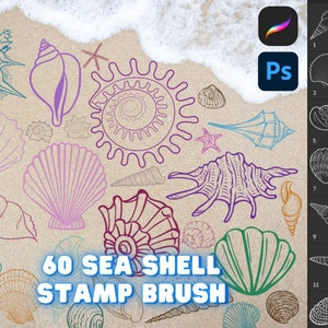 Procreate & Photoshop Sea Shells Line Art Stamp Brush Pack Beach ...