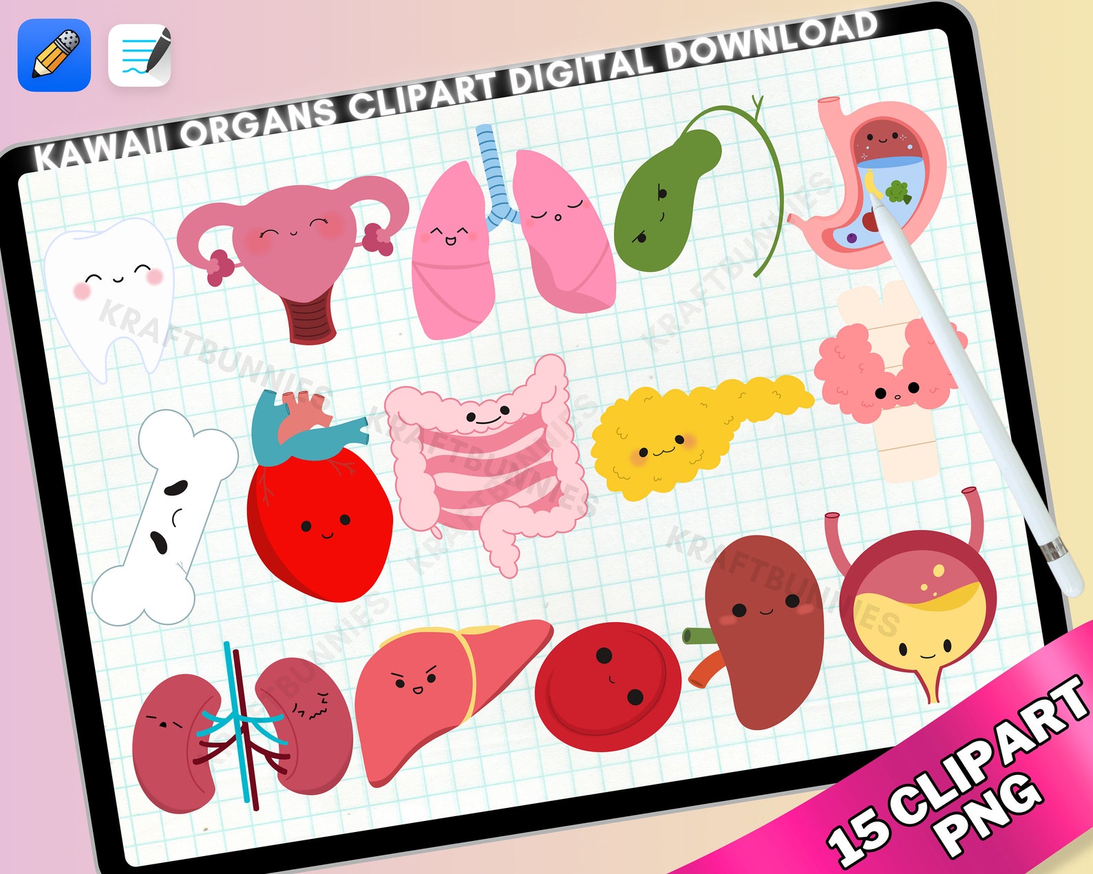 Cute Kawaii Body Organs Anatomy Education Brain Heart Lungs Vector ...