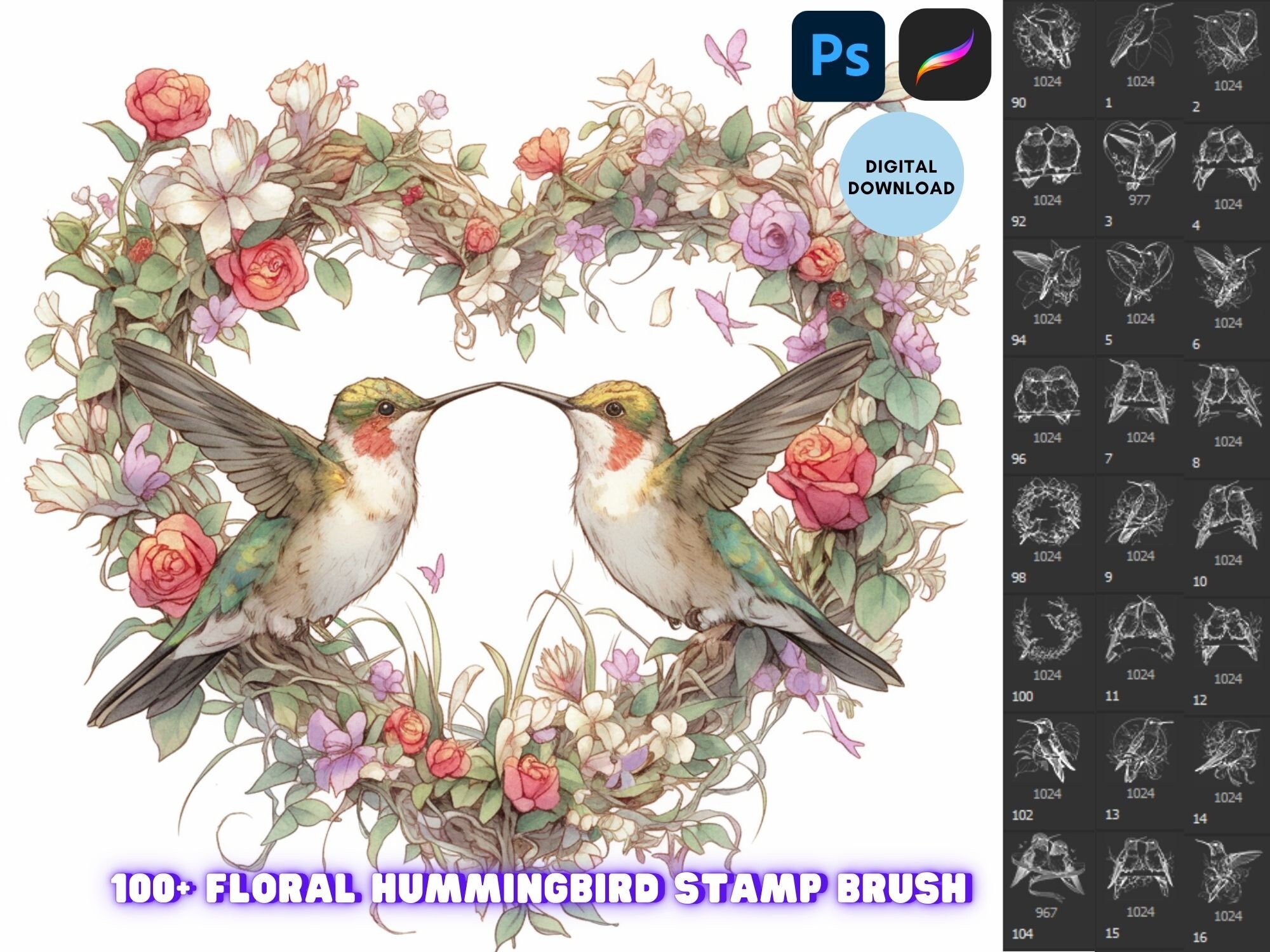 Procreate Photoshop Hummingbird Stamp Brush Bundle Bird Digital ...