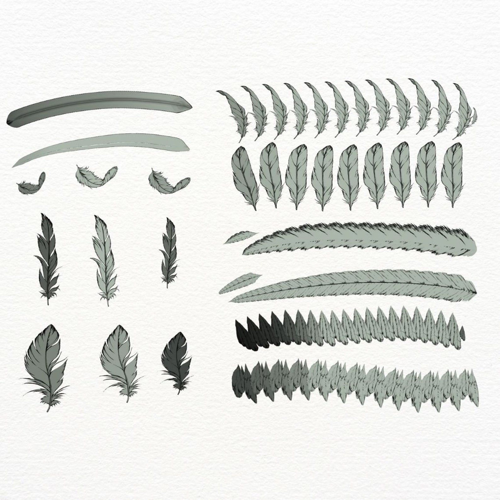 Procreate Dynamic Wings Brush Kit Set Angel, Feather , Insect Wing Line ...