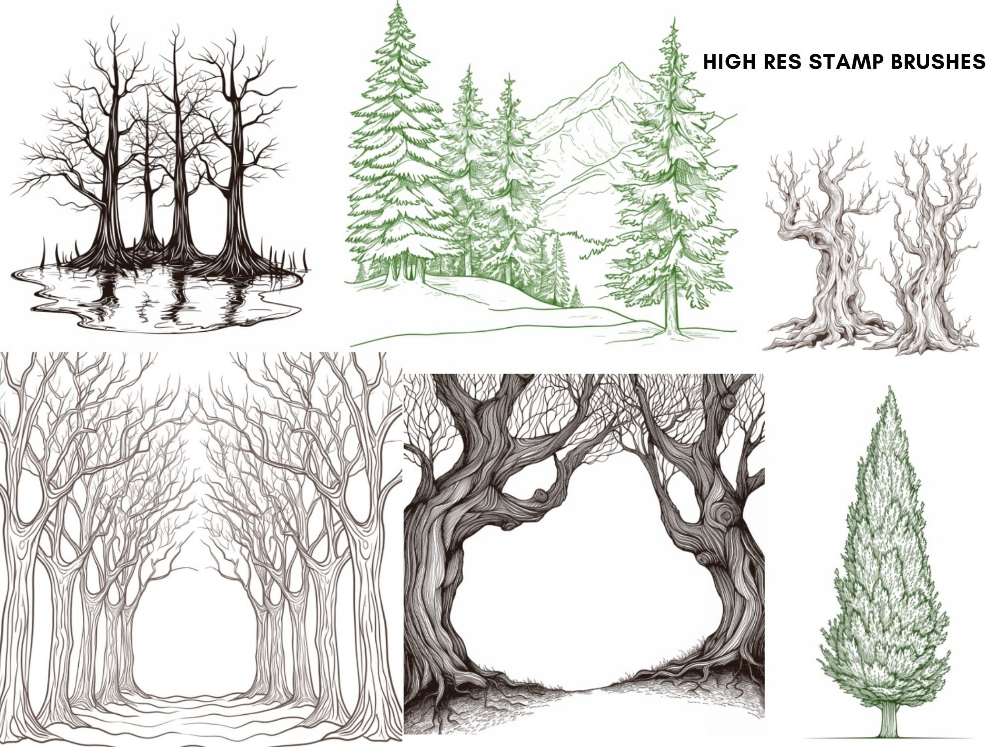 Procreate 100 Tree Line Art Landscape Scenery Stamp Bundle Pack Brushes ...