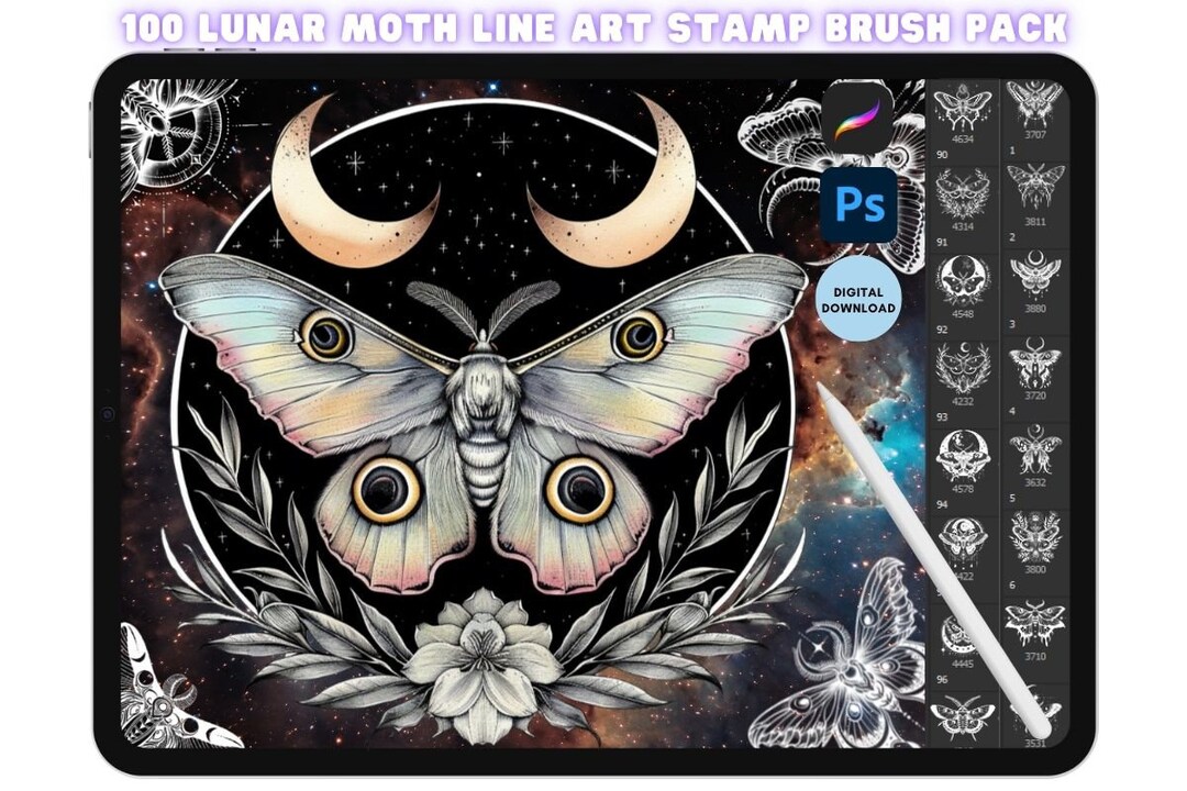 Procreate Photoshop Lunar Moth Line Art Stamp Brush Pack Digital ...