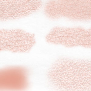 Procreate Photoshop Dynamic Skin Texture Brush Bundle Pack Realistic Skin Kit Brushes Digital ...