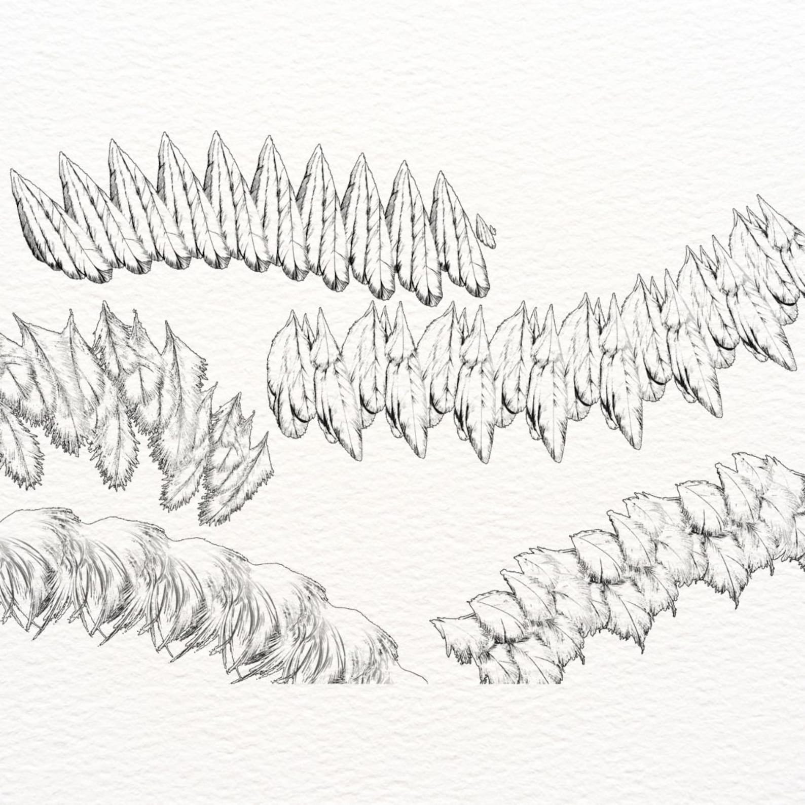 Procreate Dynamic Wings Brush Kit Set Angel, Feather , Insect Wing Line ...
