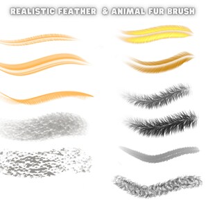 Procreate Realistic Feather & Animal Fur Painting Drawing Brush Set ...