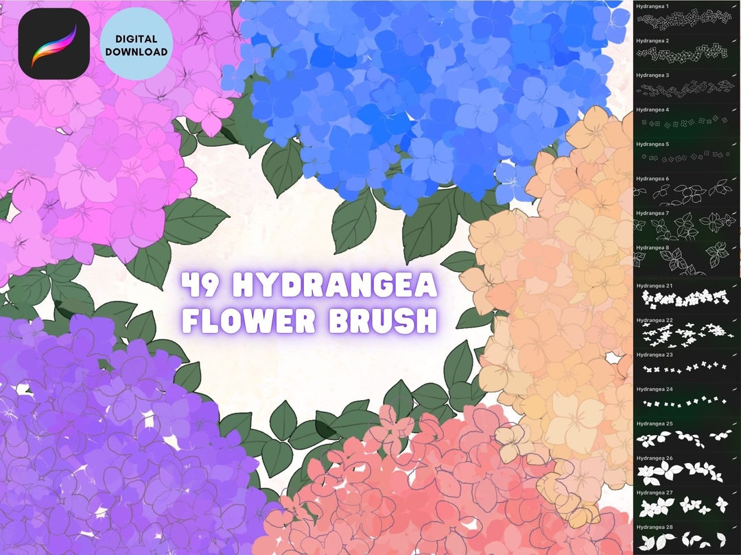 Procreate Hydrangea Flower Floral Kit Dynamic Brush Digital Download Brushset - Etsy